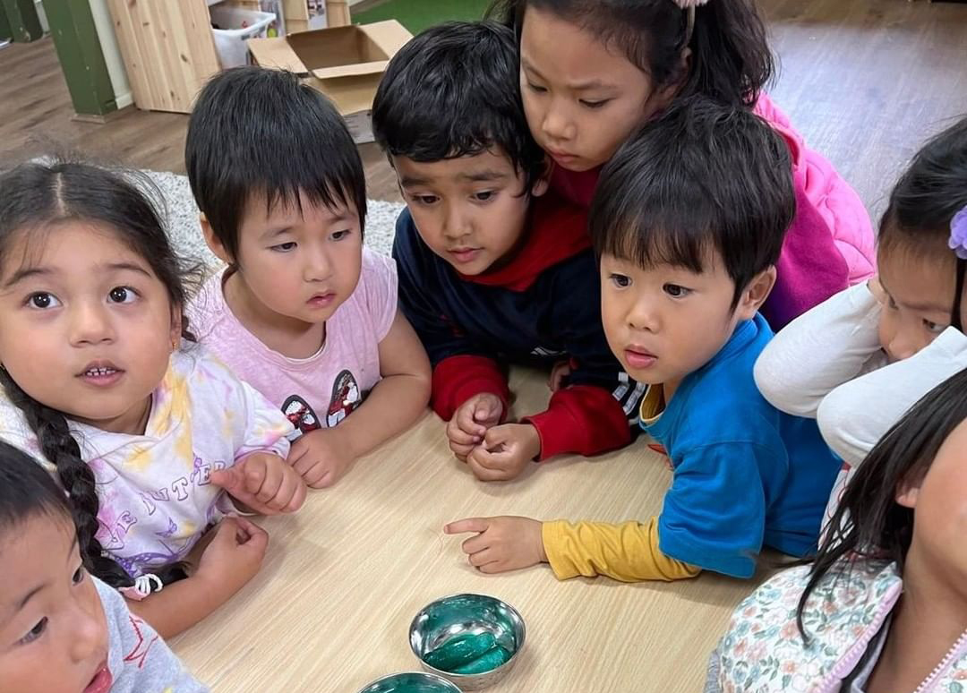 Little Winners Hurstville Early Learning Centre